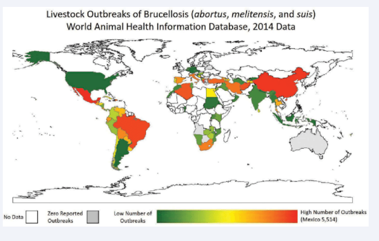 Review on Small Ruminant Brucellosis in Ethiopia