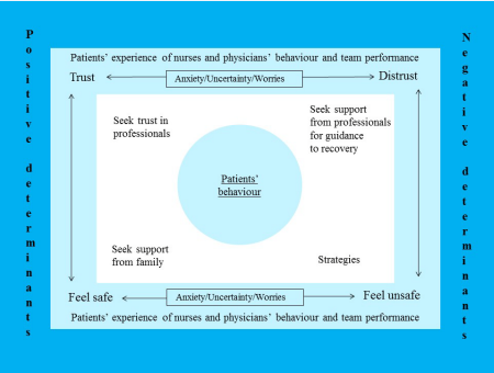 Perioperative Safety Determinants in Ethnic Patient Groups an Interview ...