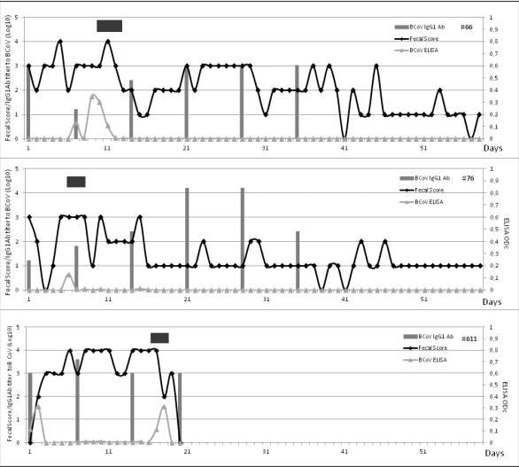 Bovine Coronavirus Diarrhea in a Dairy Herd in Argentina