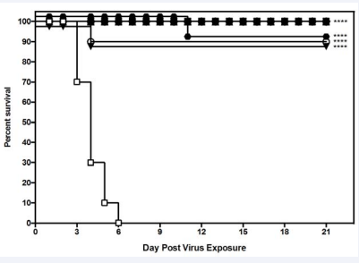 Prophylactic and Therapeutic and Adjuvant Properties of Intranasal the ...