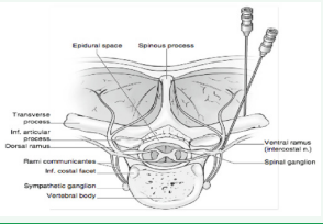 Intercostal Neuralgia: A Review