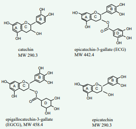 Therapeutic Potential of Natural Catechins in Antiviral Activity