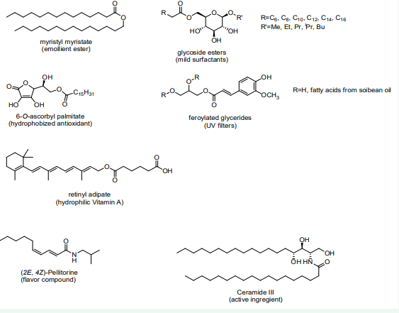 Lipases as Sustainable Biocatalysts for the Sustainable Industrial ...