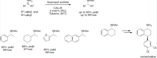 Lipases as Sustainable Biocatalysts for the Sustainable Industrial ...