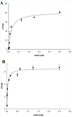A Novel Natural NADH and NADPH Dependent Glutathione Reductase as Tool ...