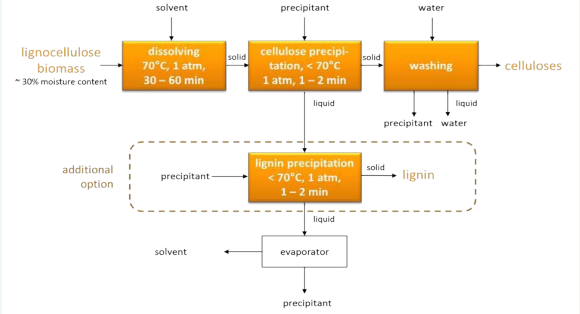 Lignocellulose to Biogas and other Products