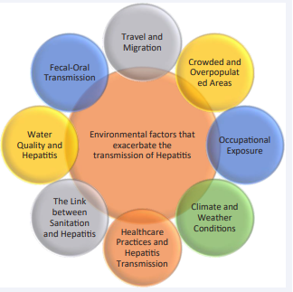 Environmental Factors Exacerbating Hepatitis Transmission: A Mini Review